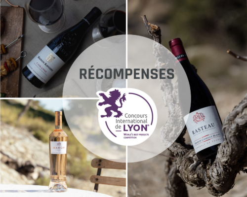 Récompenses – Concours International de Lyon – Les actualités Famille ...
